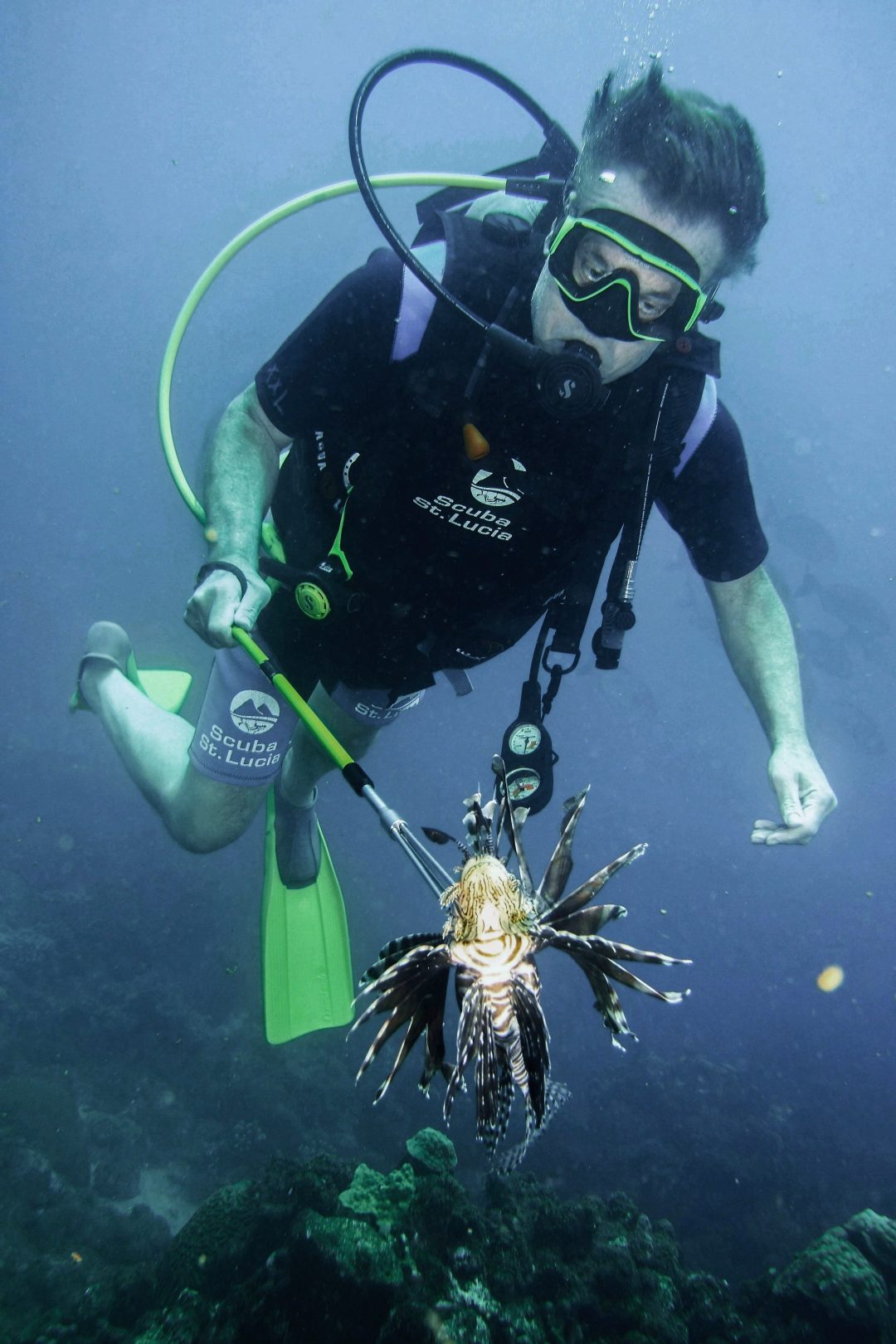 Ecotourism in St. Lucia: Lassoing Lionfish - Food, Wine & Travel