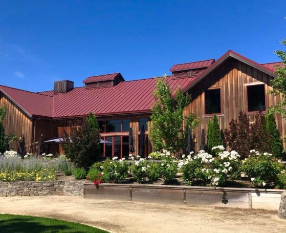 Lodi’s Oak Farm Vineyards: Nature and Nurture in Perfect Harmony - Food ...