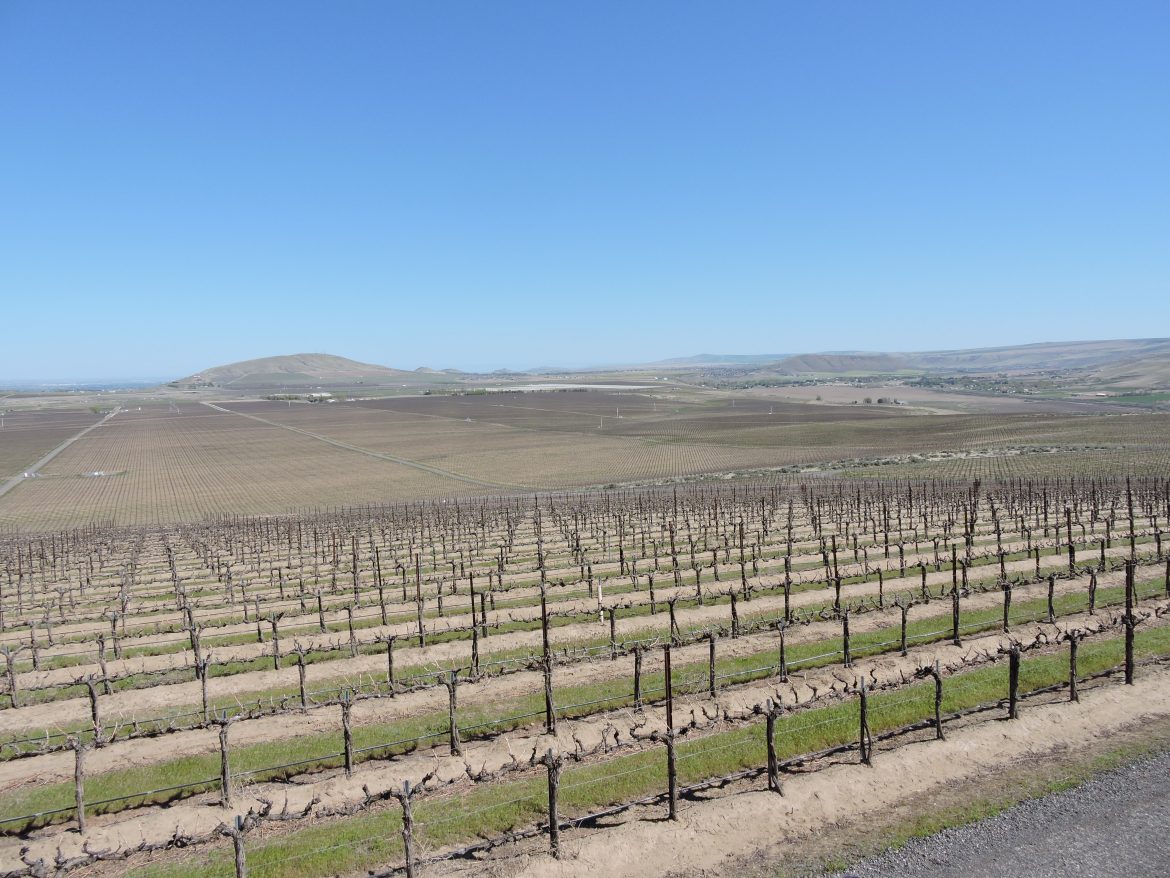 Tri-Cities: The Heart of Washington Wine Country - Food, Wine & Travel