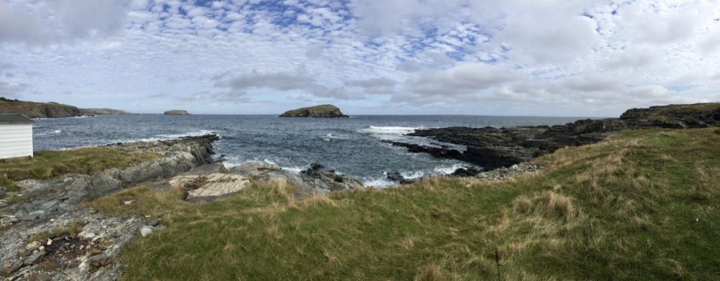 Come From Away to the Heart of Newfoundland - Food, Wine & Travel