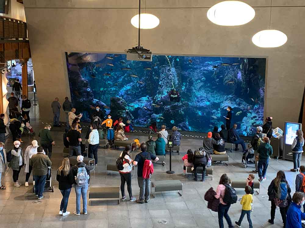 Seattle, Washington: Best Things to See, Do and Experience - Food, Wine ...