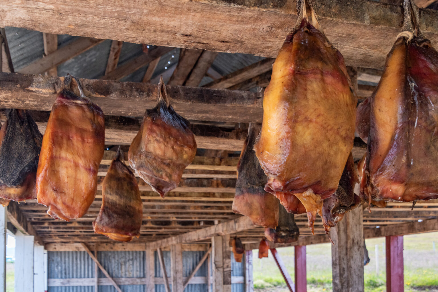 How I Learned to Eat Fermented Shark with Iceland ProCruises - Food ...