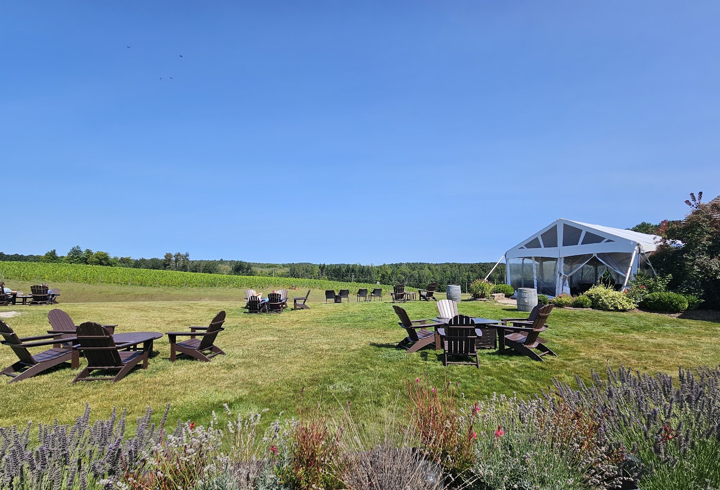 Michigan Wine Country Six Wine Trails - Food, Wine & Travel