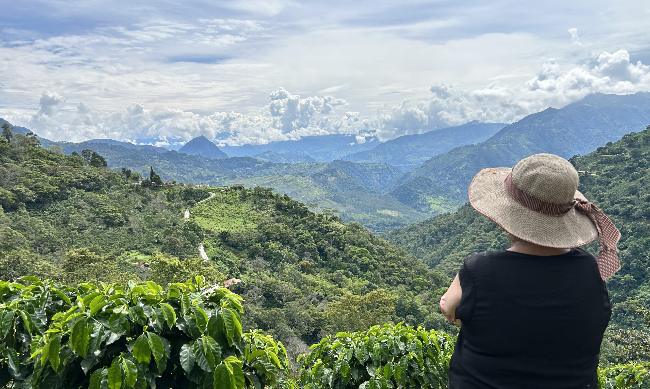 A Day at Cafe de la Cima: Experiencing Coffee Culture in Colombia ...