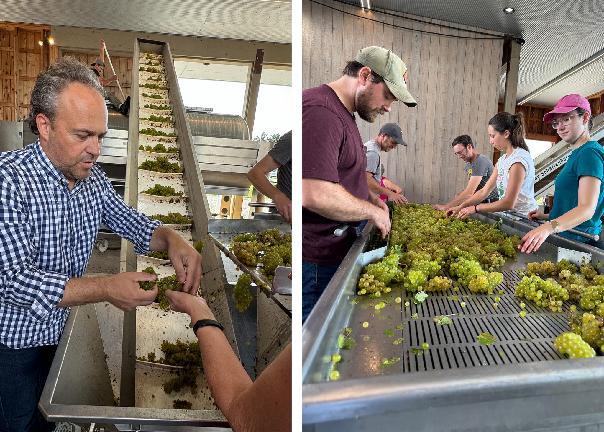 Finger Lakes Wineries: European Flavors Meet New World Innovation ...