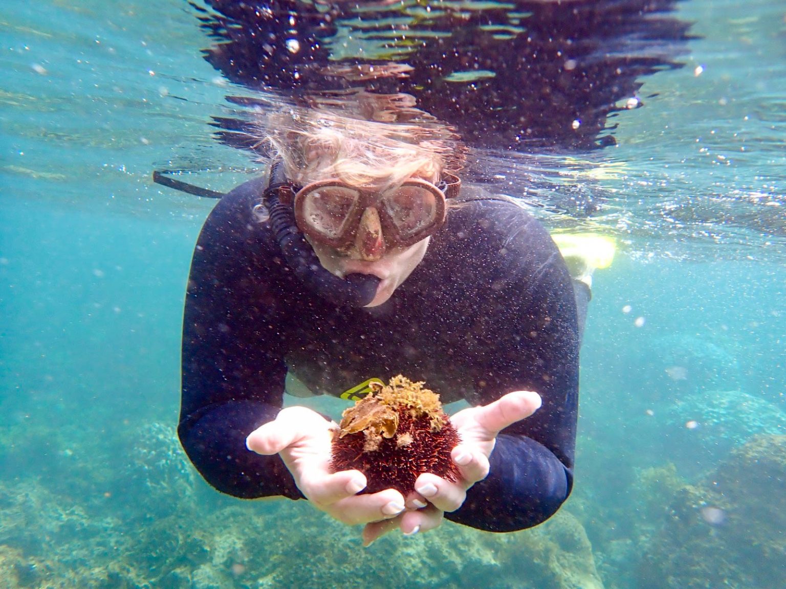 8 Things to Love About Easter Island (Beyond the Moai) - Food, Wine ...