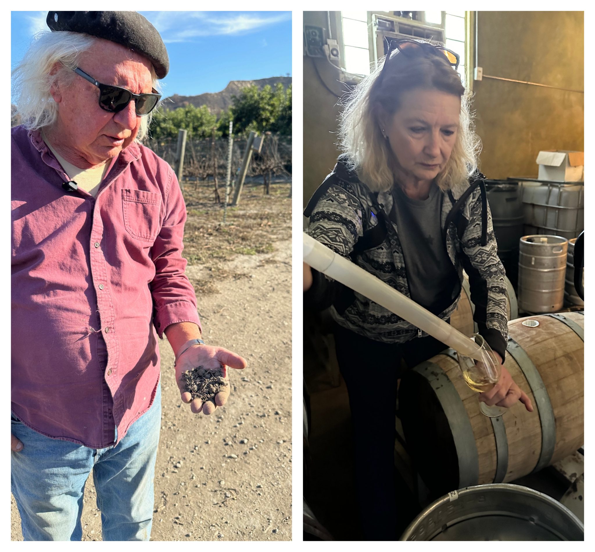 In Ojai California Wine Country, Thinking Small Produces Big Flavors ...