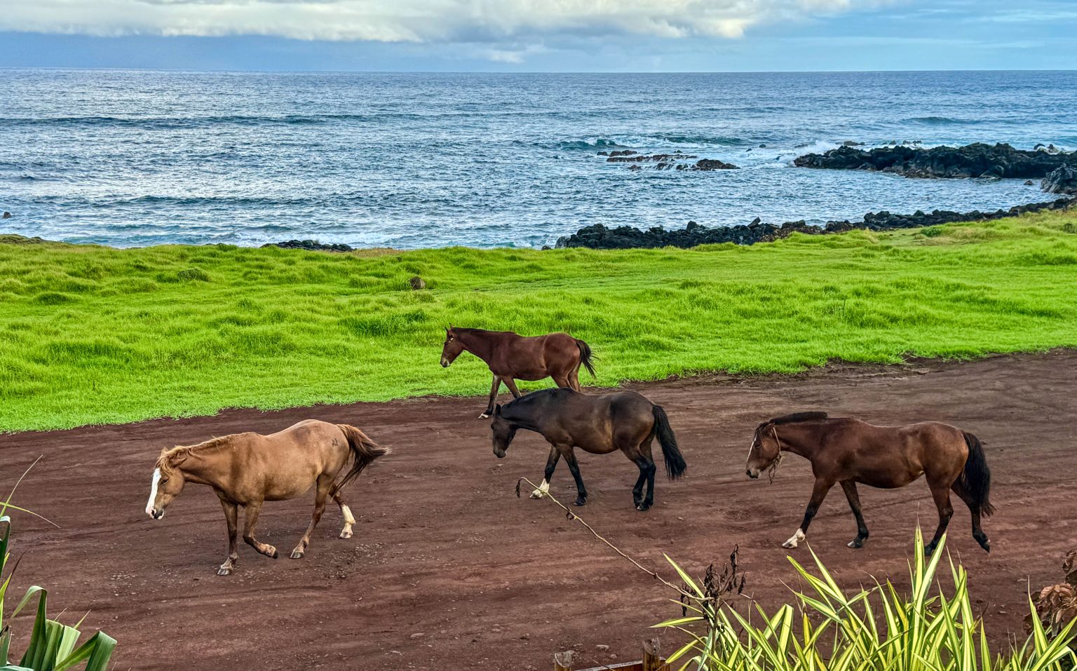 8 Things to Love About Easter Island (Beyond the Moai) - Food, Wine ...