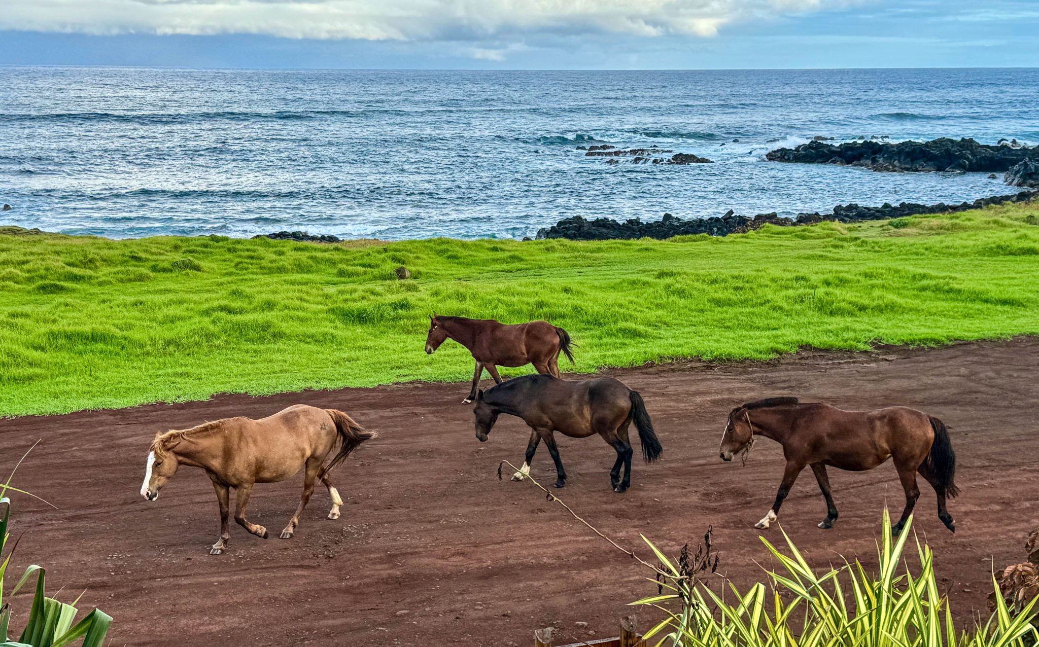 8 Things to Love About Easter Island (Beyond the Moai) - Food, Wine ...